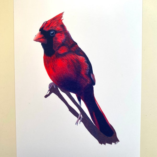 Cardinal Art - Etsy