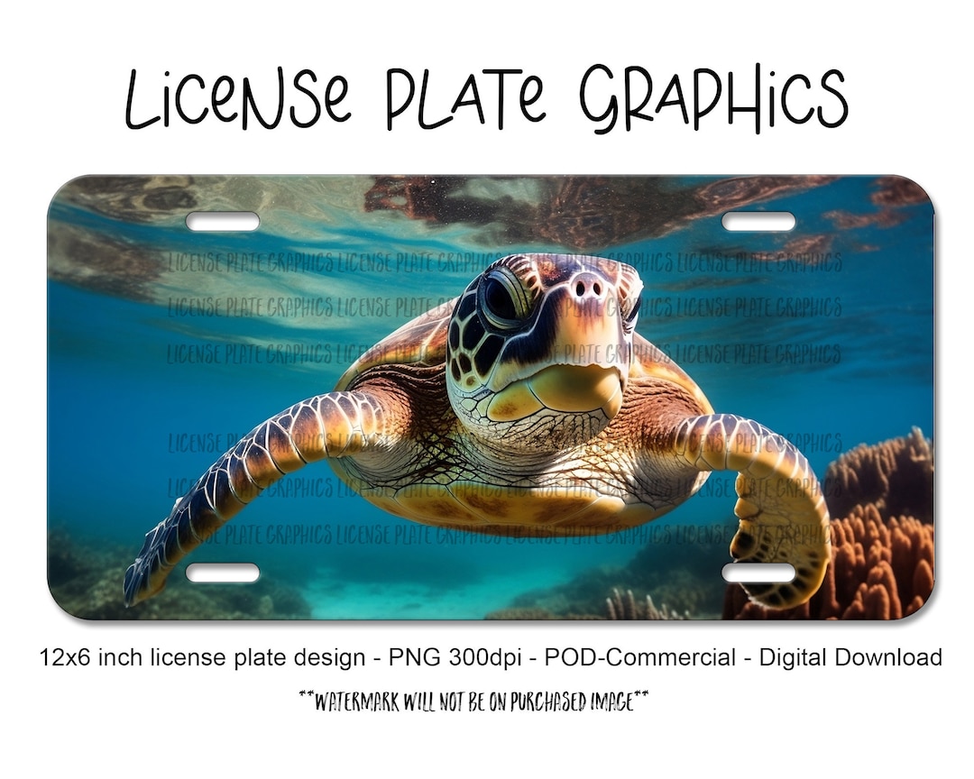 Sea Turtle License Plate Design, Sea Life License Plate PNG, Download ...