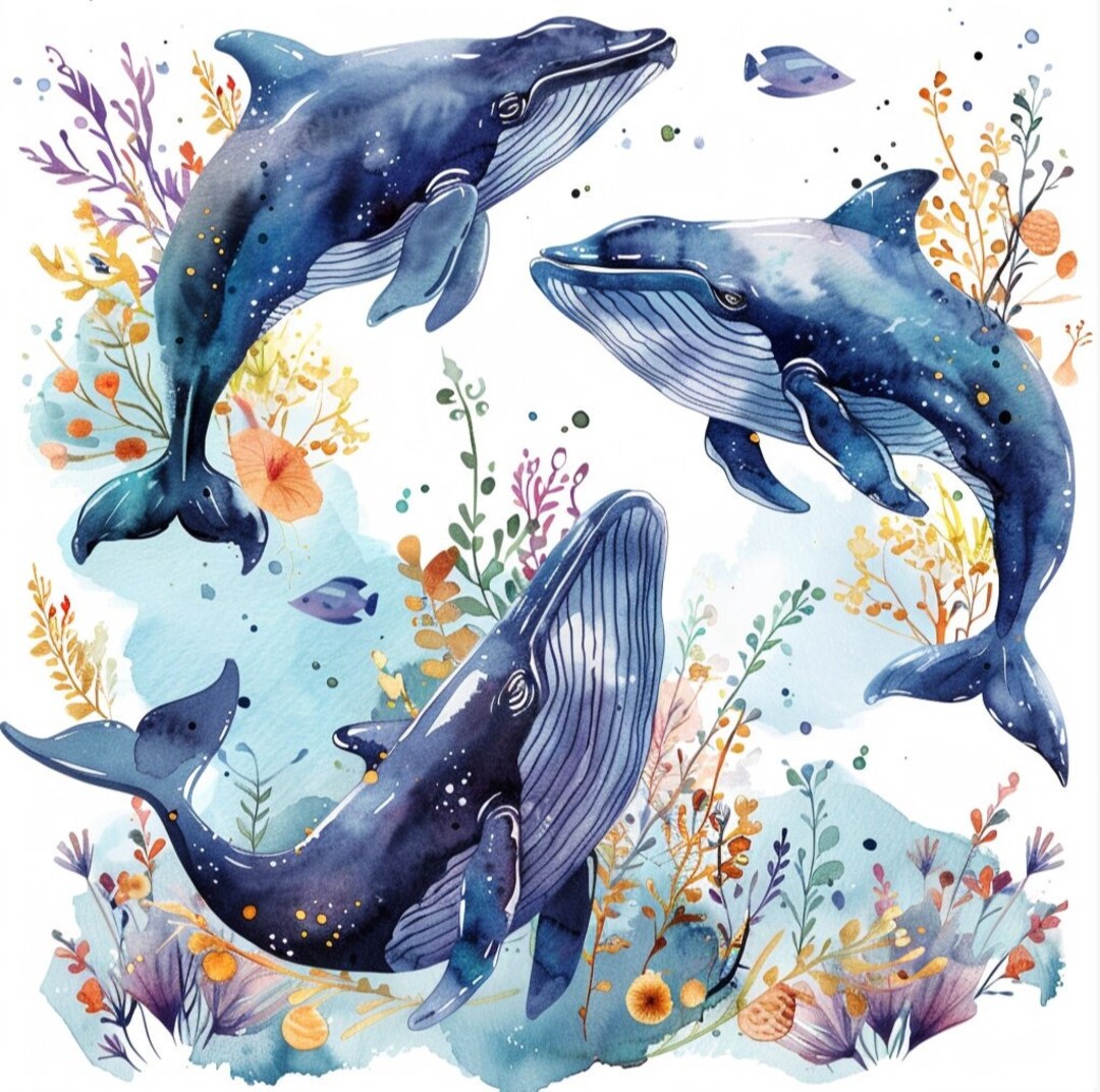 Watercolor Whale Clipart - Etsy