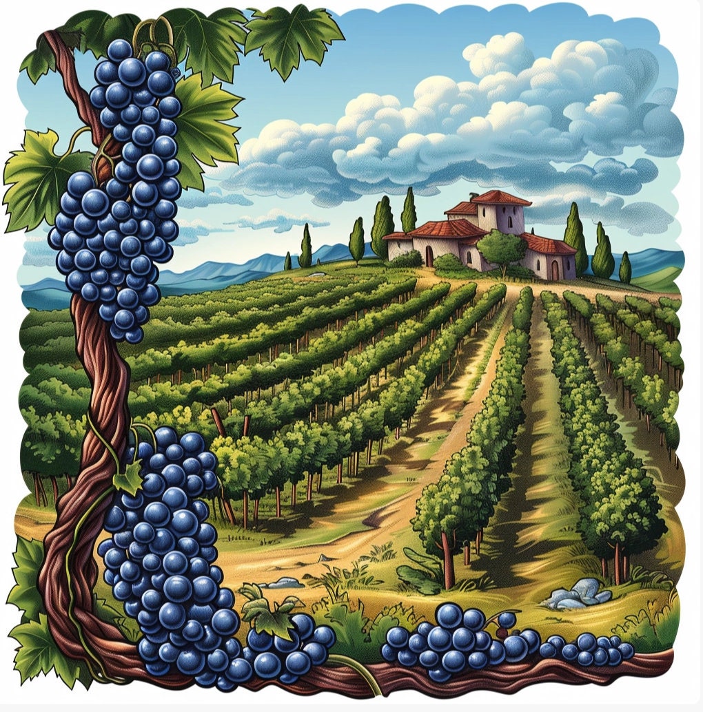 Cartoon Vineyard Clipart - Etsy