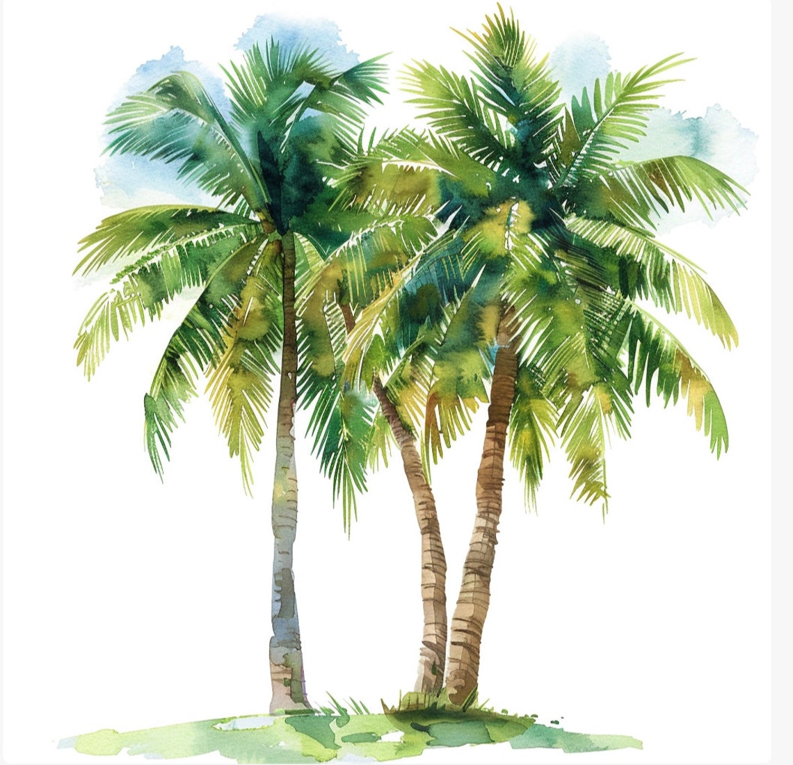 Watercolor Palm Trees Clipart - Etsy