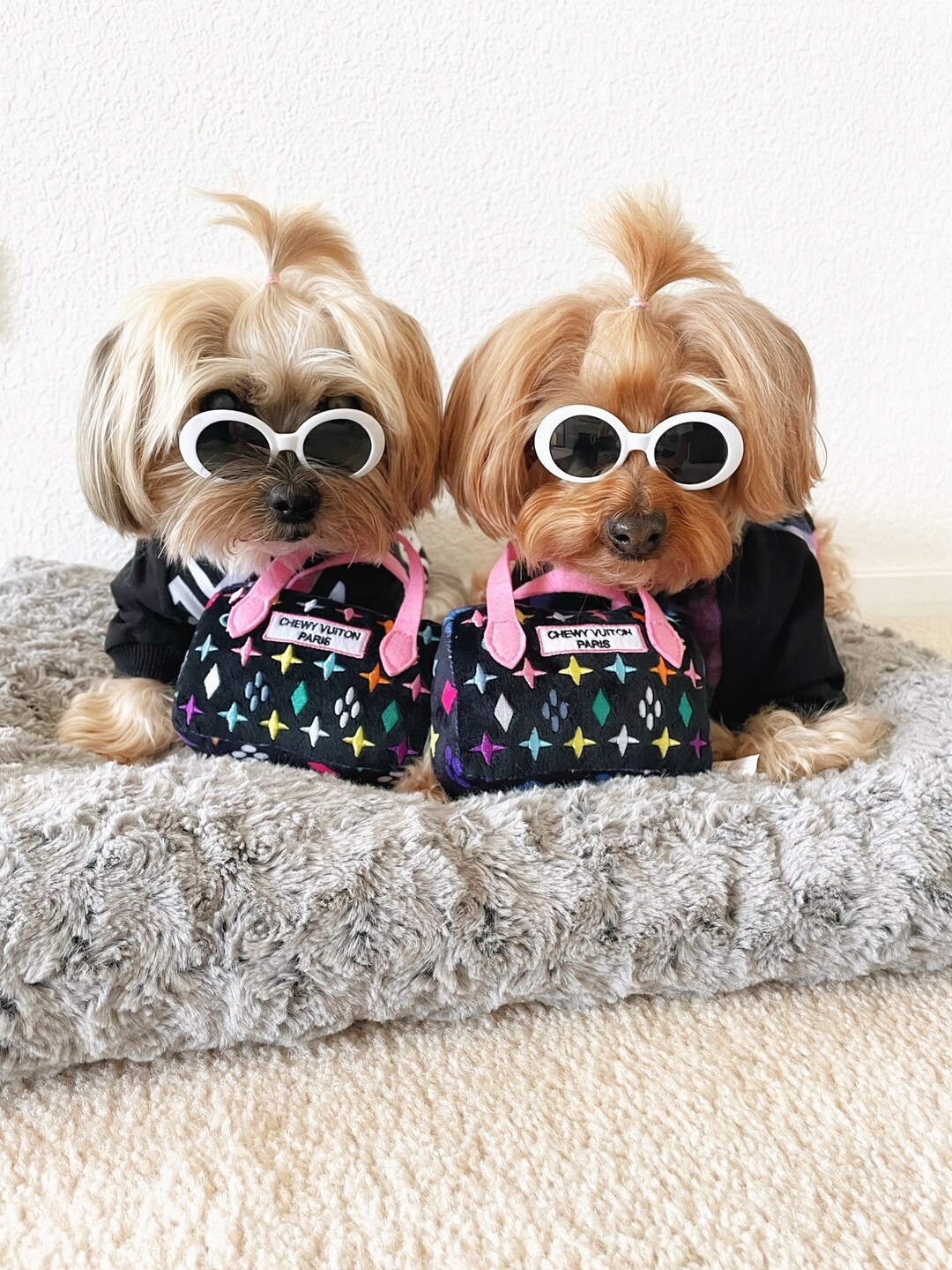 Chewy Posh Pals, Chewy Toy, Pet, Dog, Dog Gift, Gift, Toy, Luxe, Play ...