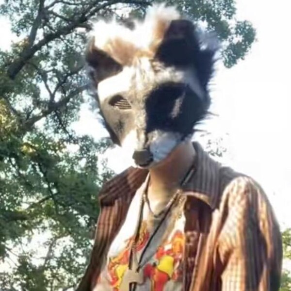 Therian Raccoon Mask - Etsy