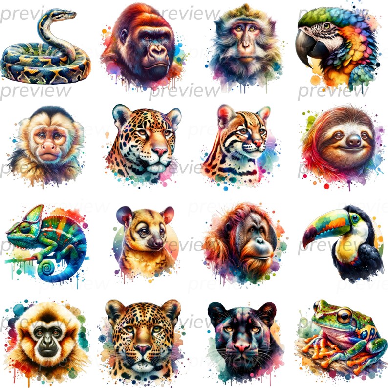 Jungle Animal Clipart, Watercolor Clipart, Safari Animals, Jungle ...