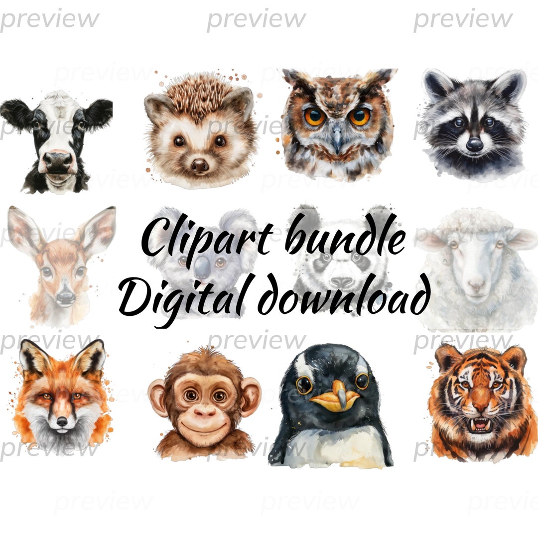 Watercolor Animal Face Clipart Bundle (digital Download) - Etsy