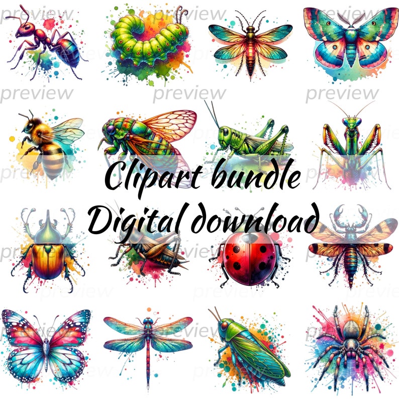 Insect Watercolor Clipart, Insect Clipart, Cute Insects, Insect, Insect ...