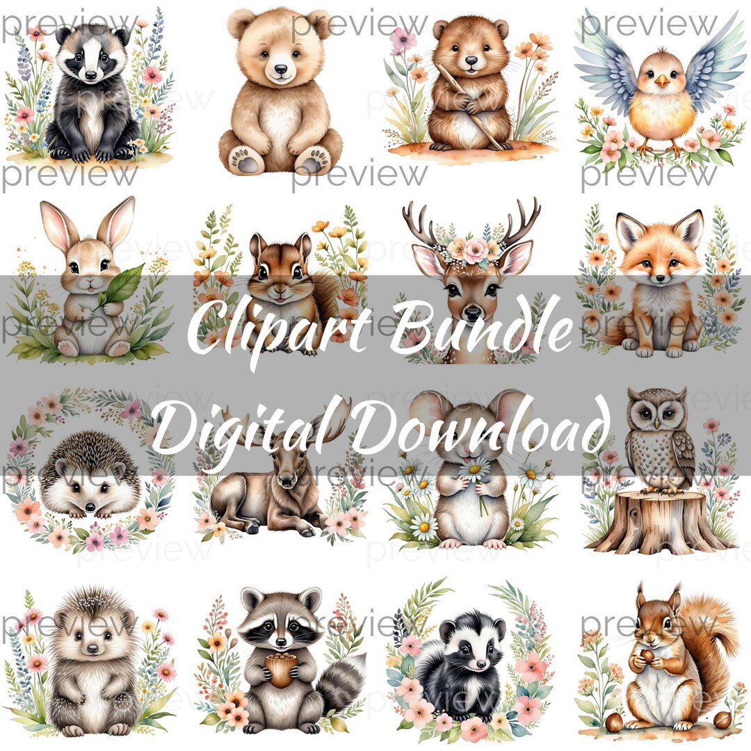 Woodland Baby Animals Clipart Bundle PNG Graphics Download - Etsy