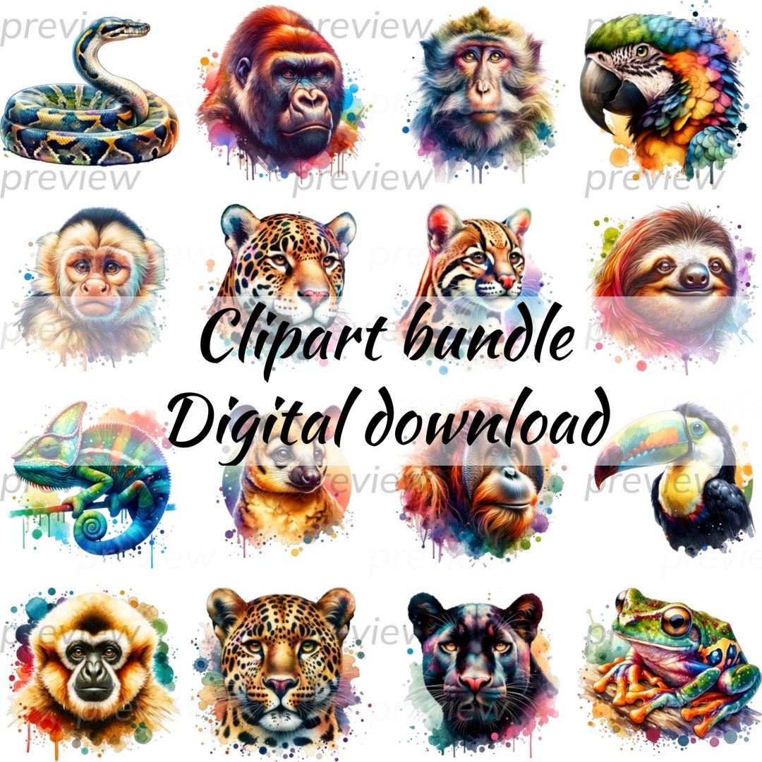 Jungle Animal Clipart, Watercolor Clipart, Safari Animals, Jungle ...