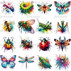 Insect Watercolor Clipart, Insect Clipart, Cute Insects, Insect, Insect ...