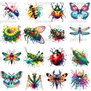 Insect Watercolor Clipart, Insect Clipart, Cute Insects, Insect, Insect ...