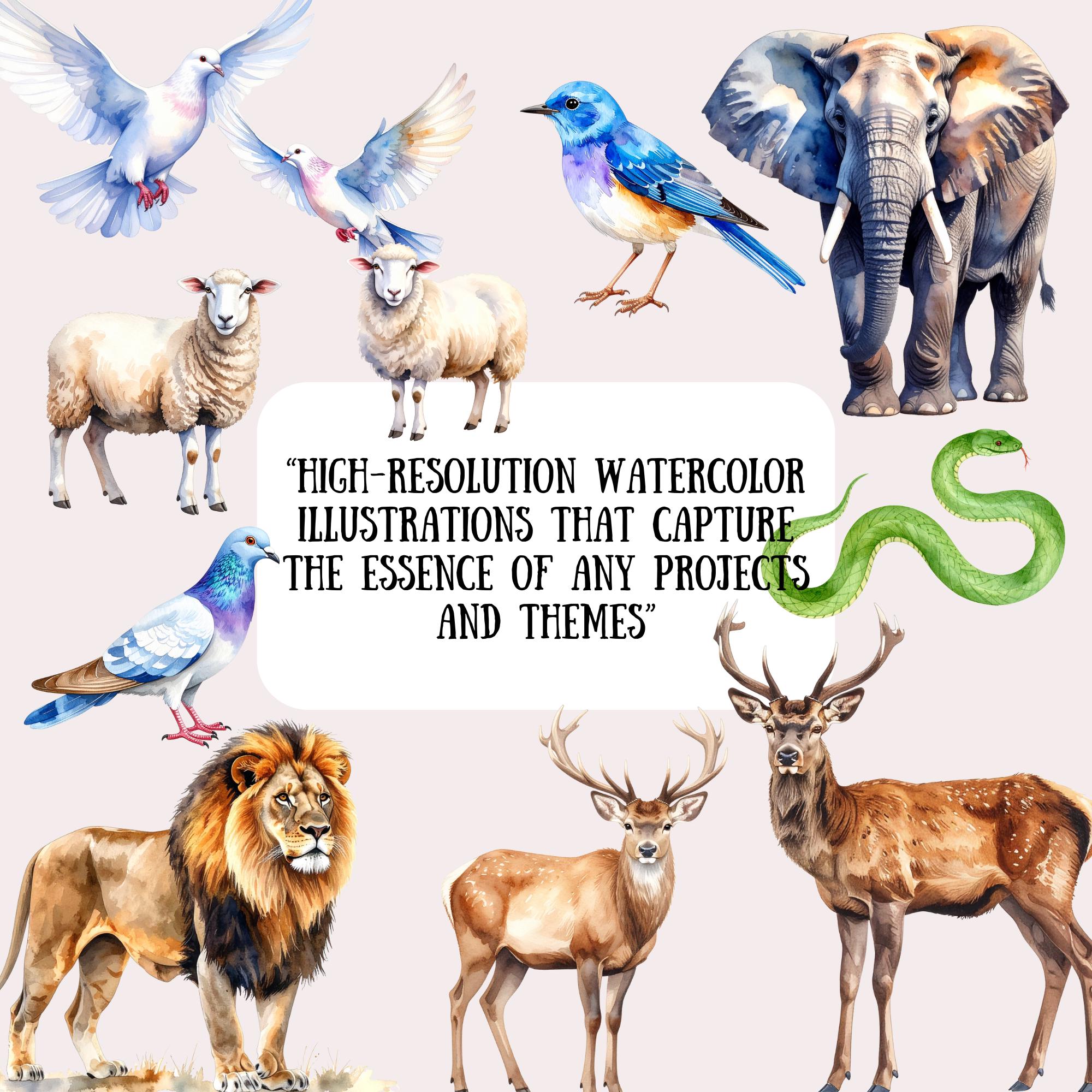 Genesis Bible Clipart | Adam, Eve, Noah, Garden of Eden | Bible Story ...