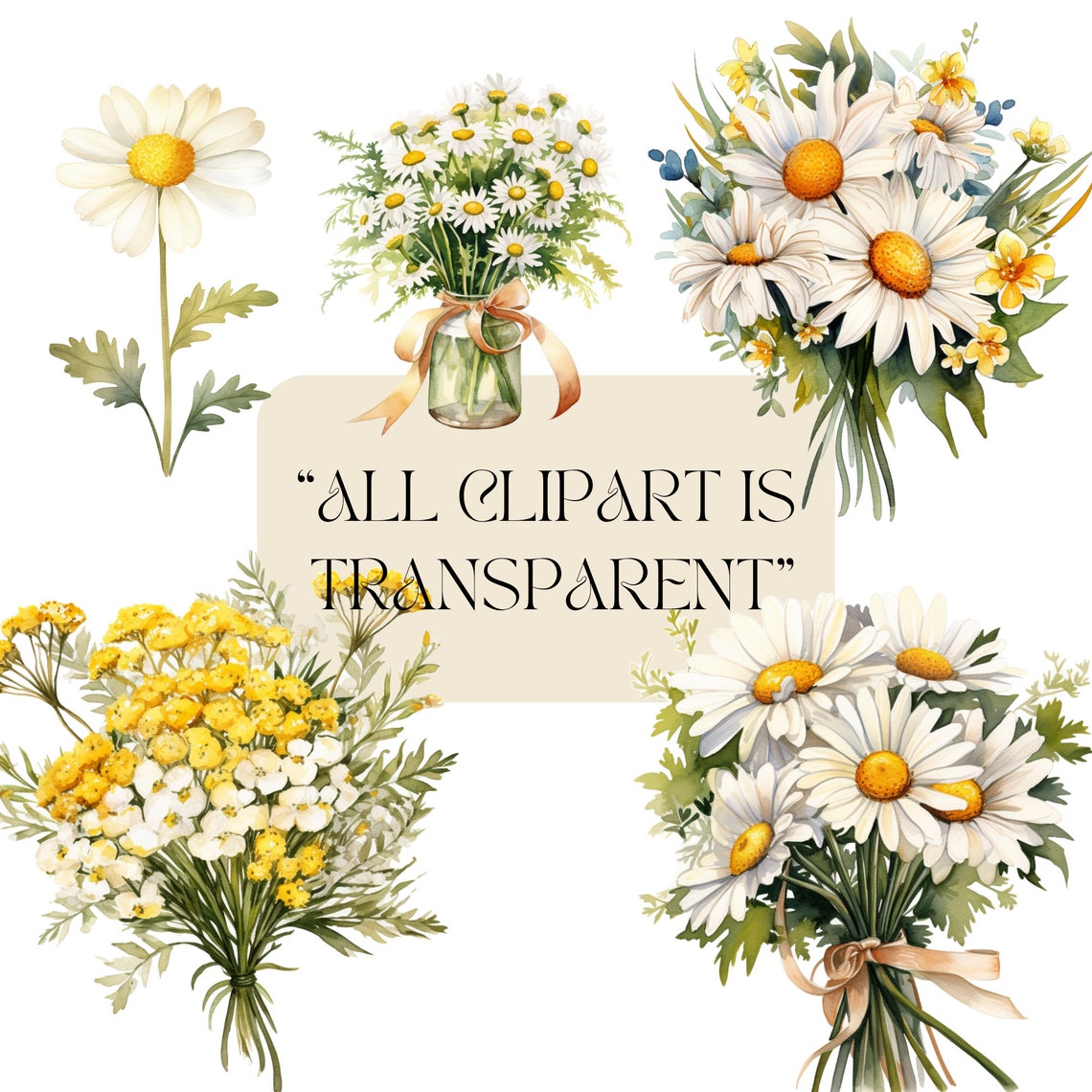 Floral Daisys Clipart Daisy Png Floral Clipart Watercolor Clipart Daisy ...