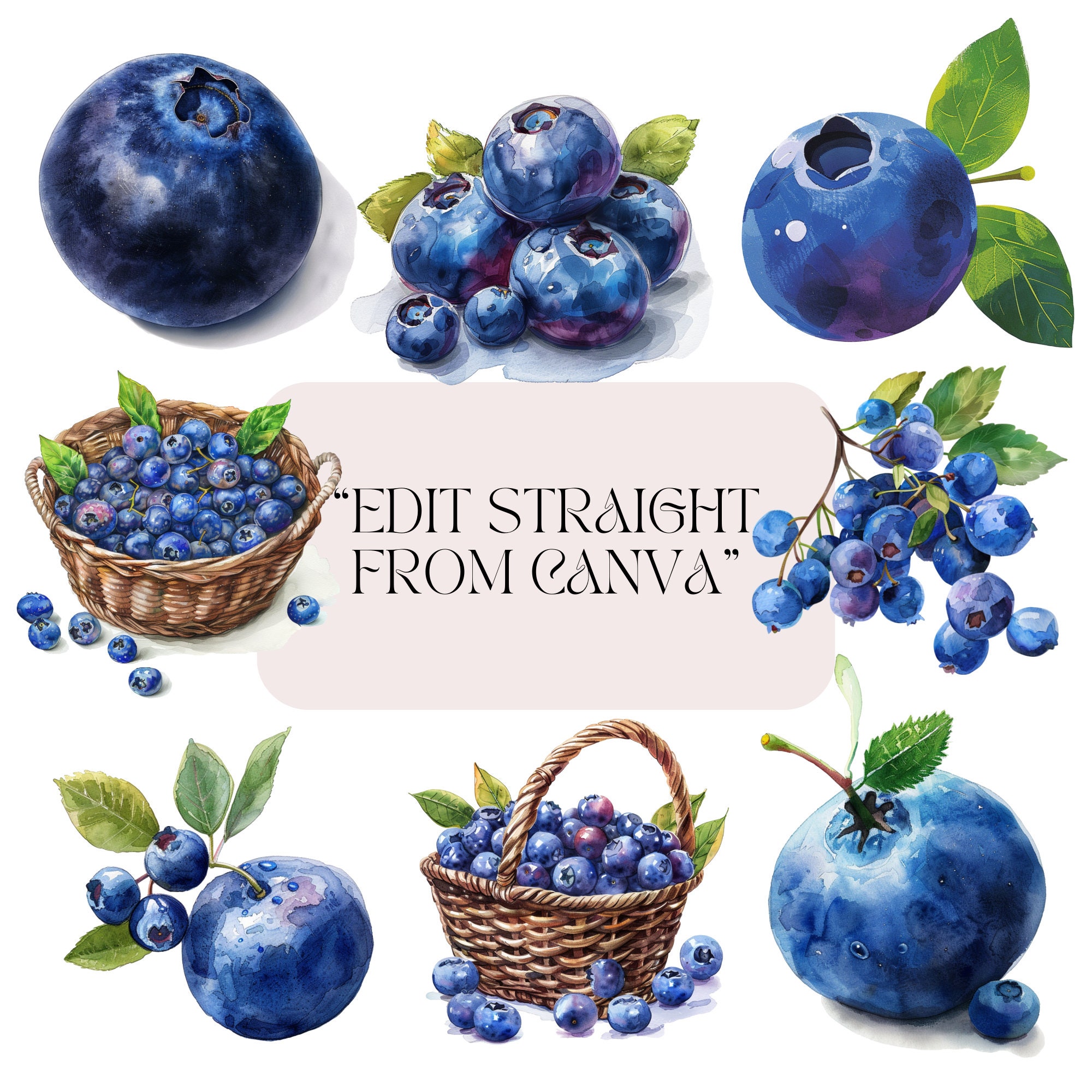 Watercolor Blueberries Clipart Fruit Clipart Vibrant Summer Png Card ...
