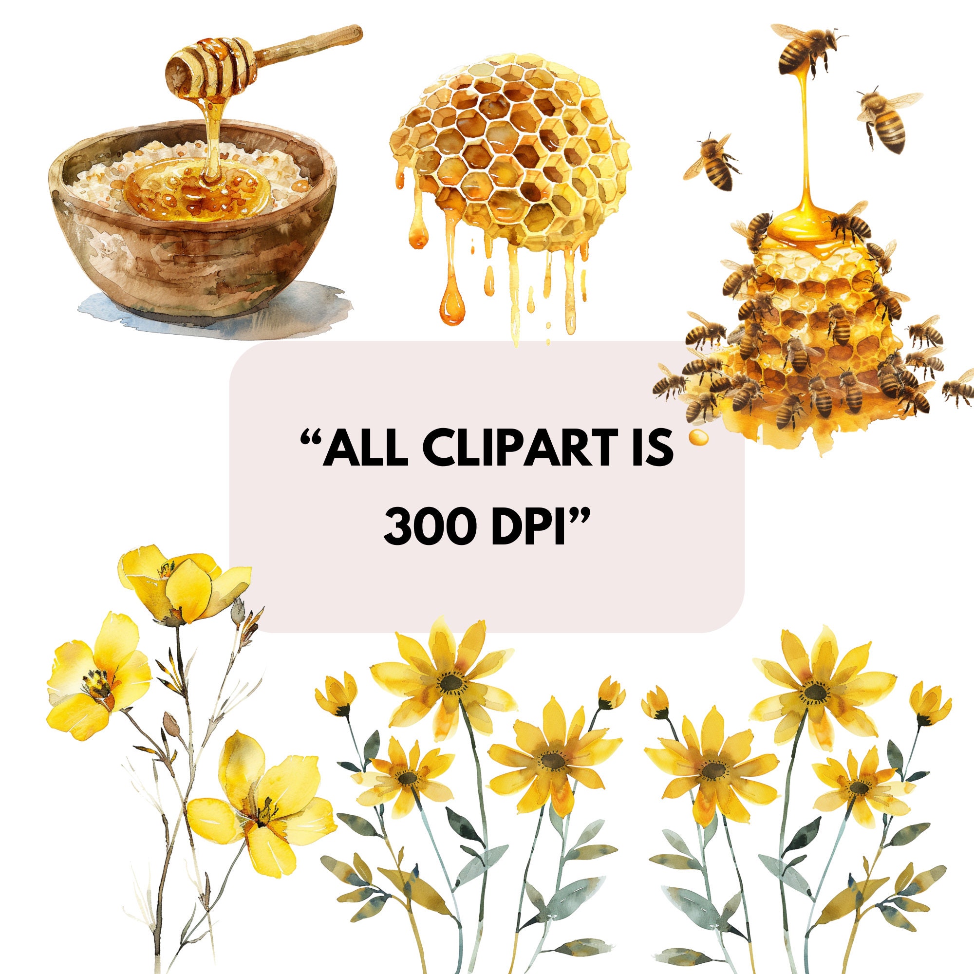 Bees and Honey Clipart Bee Png Bundle Digital Download Honey Png Junk ...