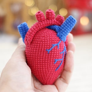 Crochet Pattern Anatomical Heart, Amigurumi Human Heart - Etsy