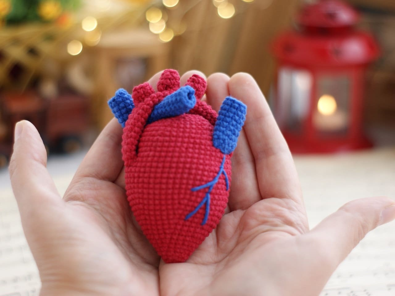 Crochet Pattern Anatomical Heart, Amigurumi Human Heart - Etsy