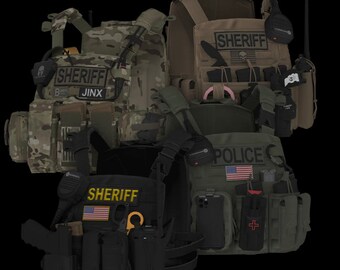 Fivem Clothing S.W.A.T. Plate Carrier - Etsy