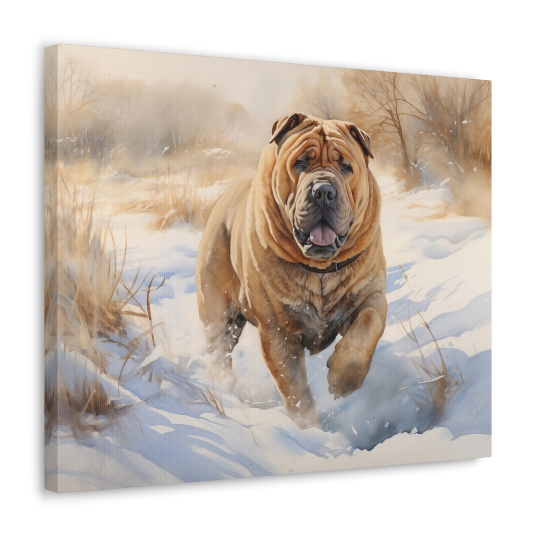 Chinese Shar-pei Wall Art A Great Gift for Dog Owners, This Watercolor ...