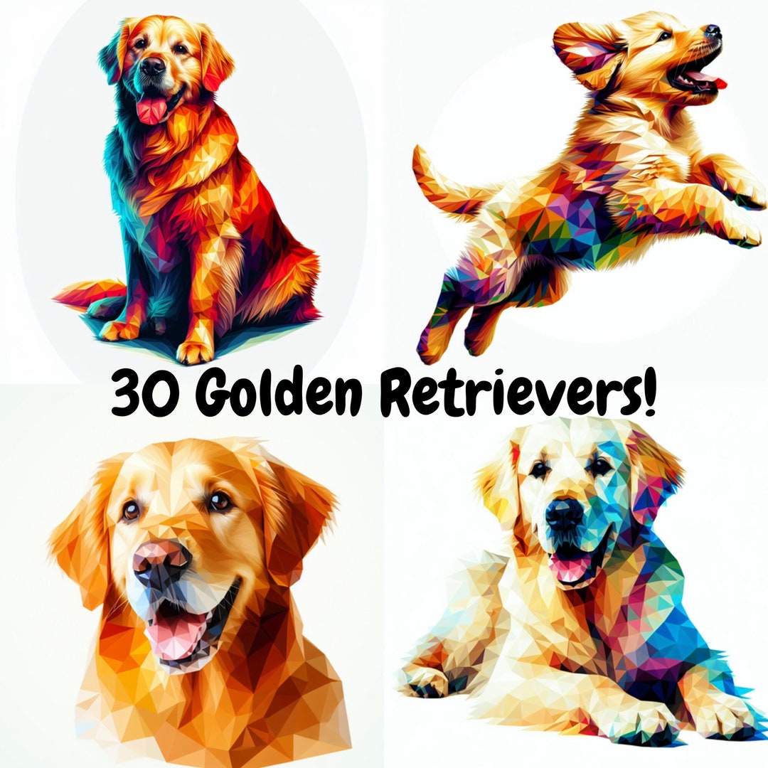 30 Golden Retriever Illustrations! JPG, PNG, and SVG Files, Background ...