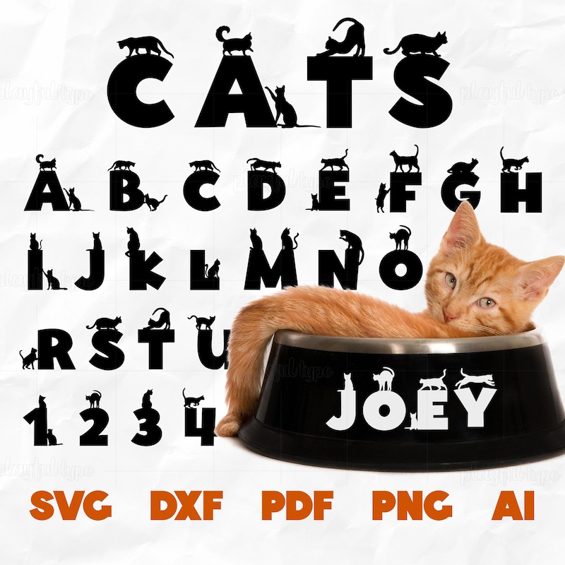 Cat Alphabet - Etsy