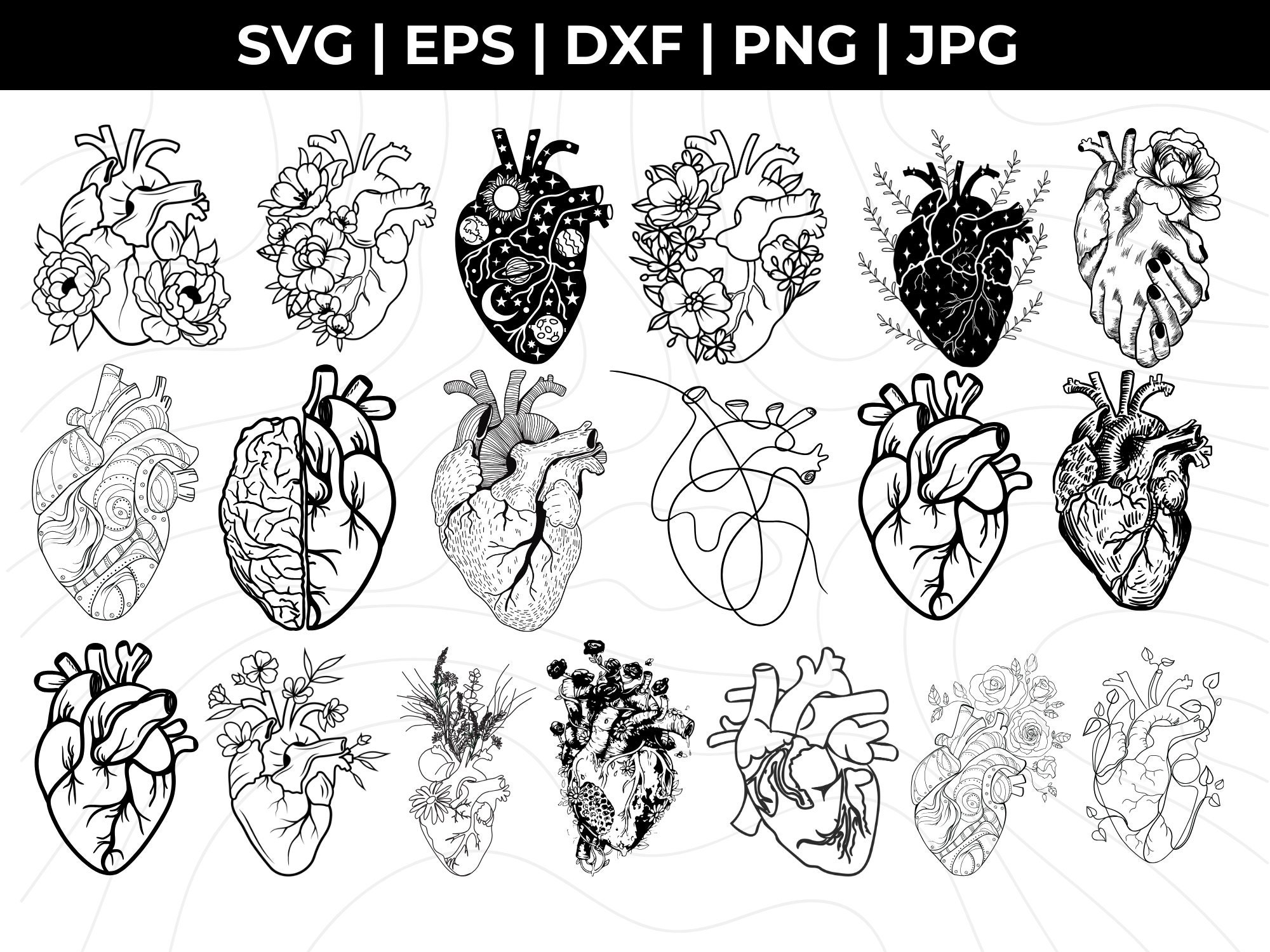 Anatomical Heart Svg Bundle, Flower Heart Svg, Human Heart Svg, Anatomy ...