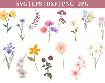 Watercolor Wildflower Clipart Bundle, Floral Clip Art Set, Spring ...