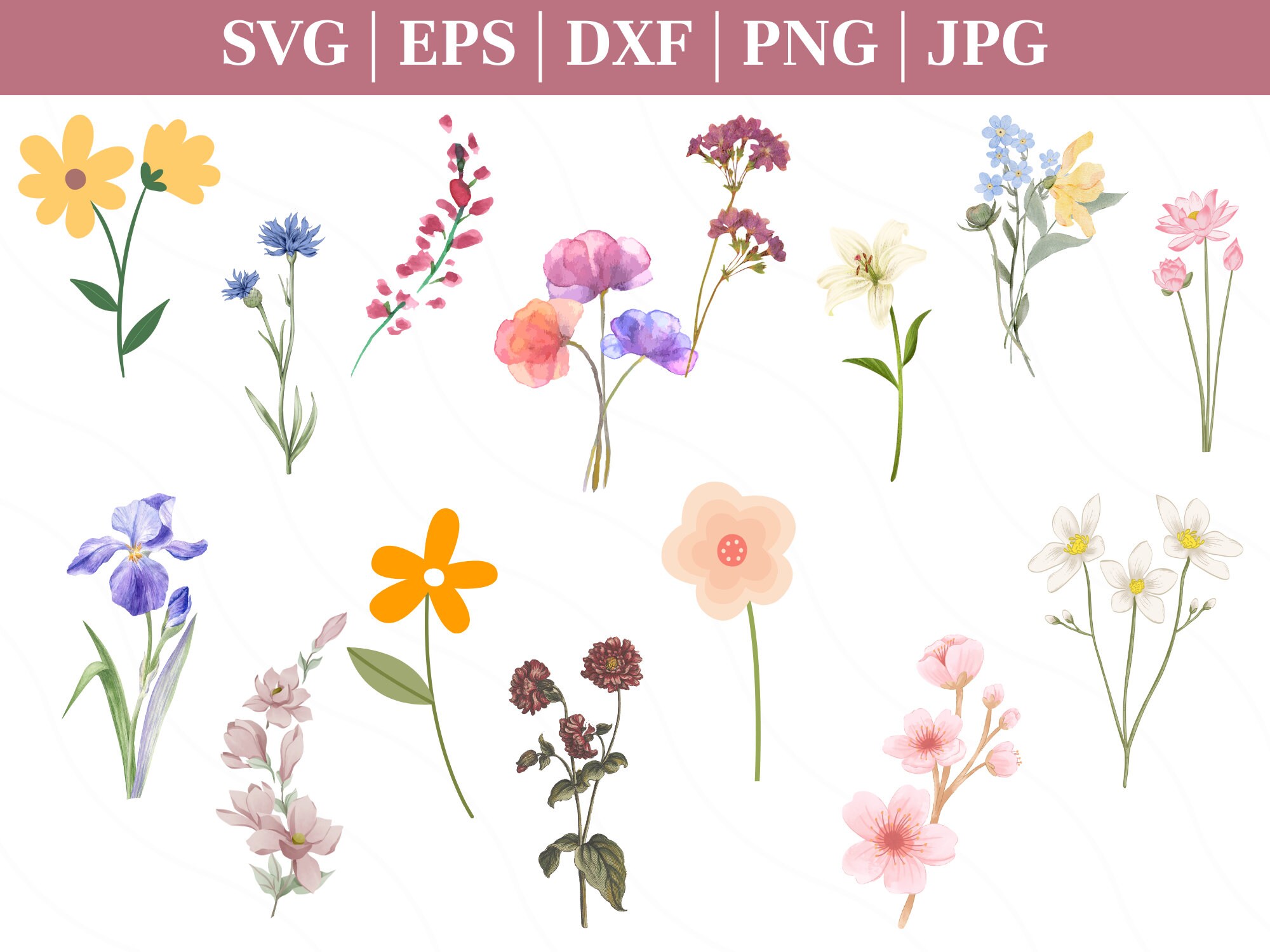 Watercolor Wildflower Clipart Bundle, Floral Clip Art Set, Summer ...
