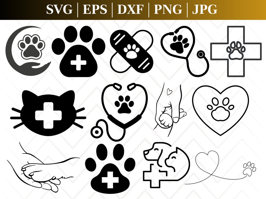 Veterinarian SVG Bundle Animals Svg Pet Doctor Svg Doctor Svg Animal ...