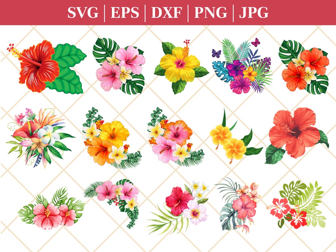 Hibiscus Svg, Tropical Flower Svg, Hawaiian Flower Svg, Flowers Svg ...