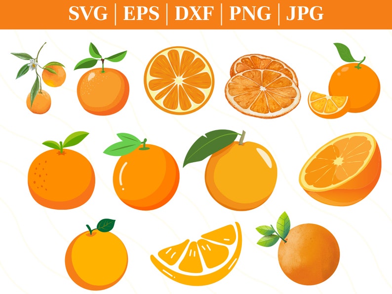 Orange SVG PNG Bundle, Orange SVG, Fruit Svg, Orange Clip Art, Orange ...