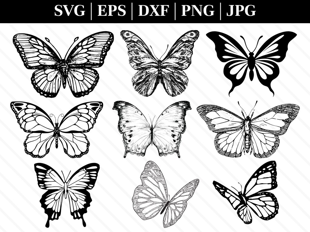 Butterfly SVG Bundle - Butterfly PNG Bundle - Butterfly Clipart ...