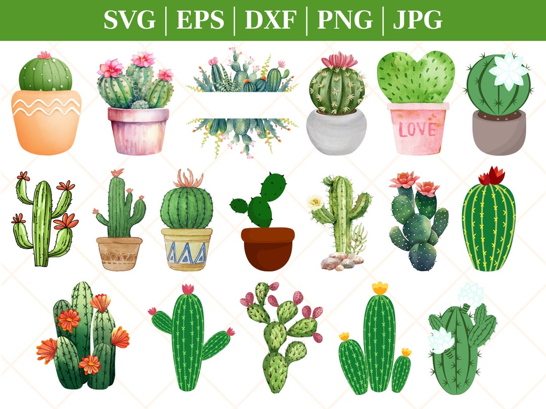 Cactus SVG Bundle Cactus Flower SVG File Succulent Png for Shirts Cacti ...