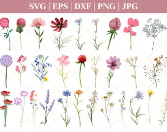 Watercolor Wildflower Clipart Bundle, Floral Clip Art Set, Spring ...