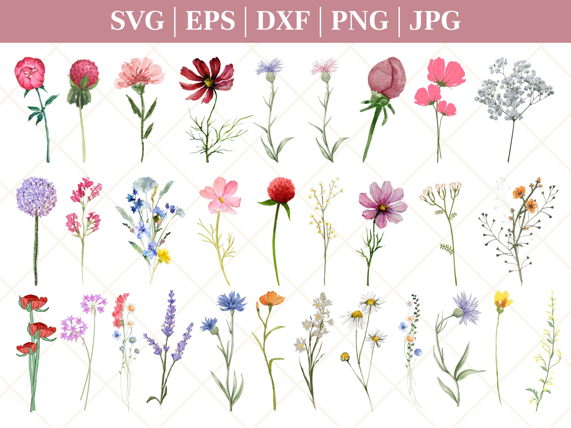 Watercolor Wildflower Clipart Bundle, Floral Clip Art Set, Summer ...