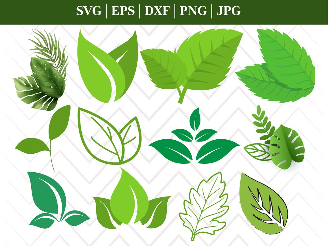 Leaf SVG Bundle, Leaves Svg Bundle, Leaf Clipart, Leaf Svg Cut Files ...
