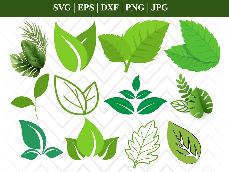 Leaf SVG Bundle, Leaves Svg Bundle, Leaf Clipart, Leaf Svg Cut Files ...