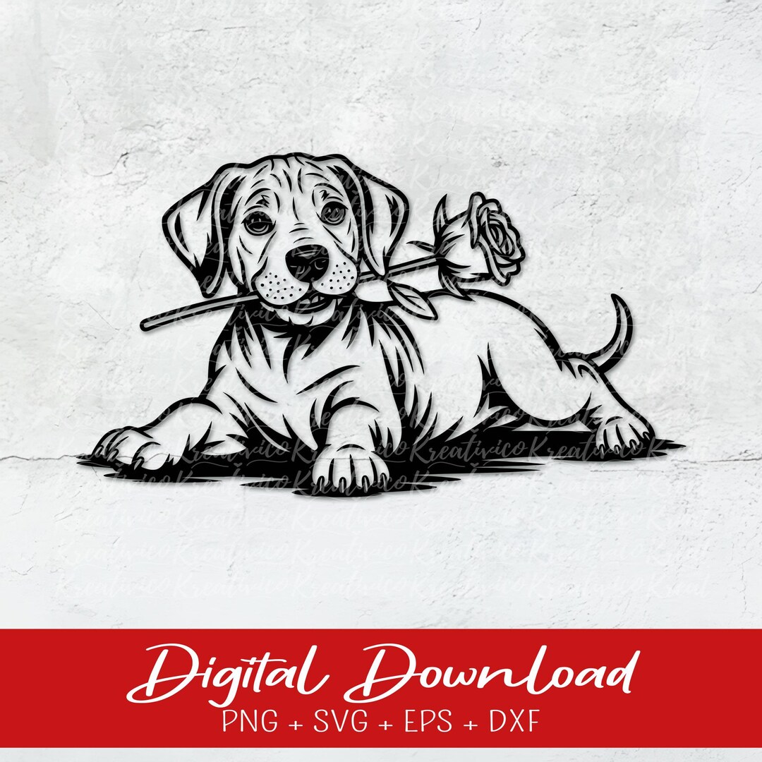 Rhodesian Ridgeback With Rose SVG, Rhodesian Ridgeback Svg, Dog Svg ...