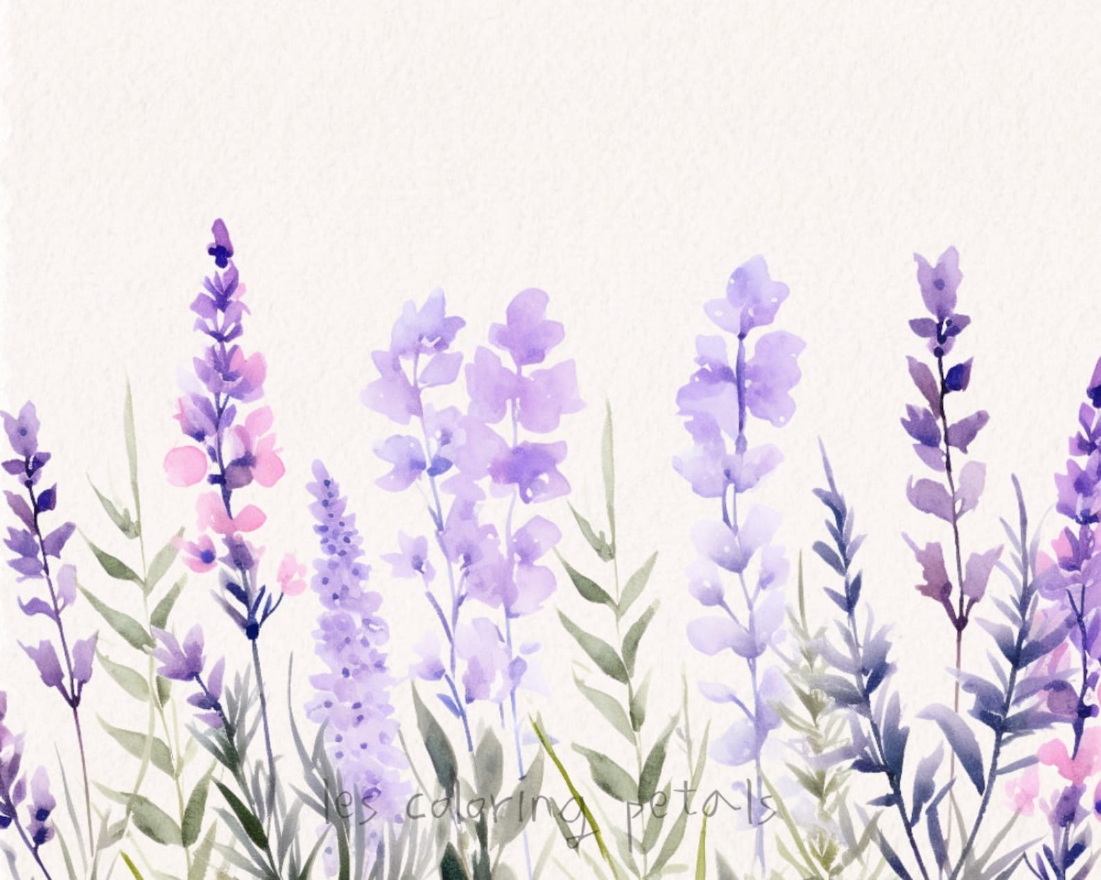 Watercolor Lavender Fields Clipart Lovely Colours Clipart Floral Border ...