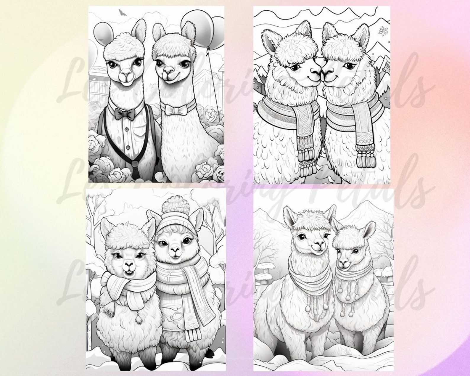 Llama Coloring Book, Alpacas in Love, Adult Coloring Printable ...