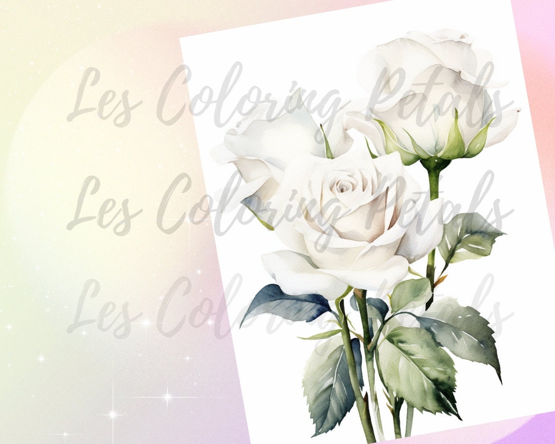 Watercolor White Roses Clipart: Floral Bouquet, Wreath (digital ...
