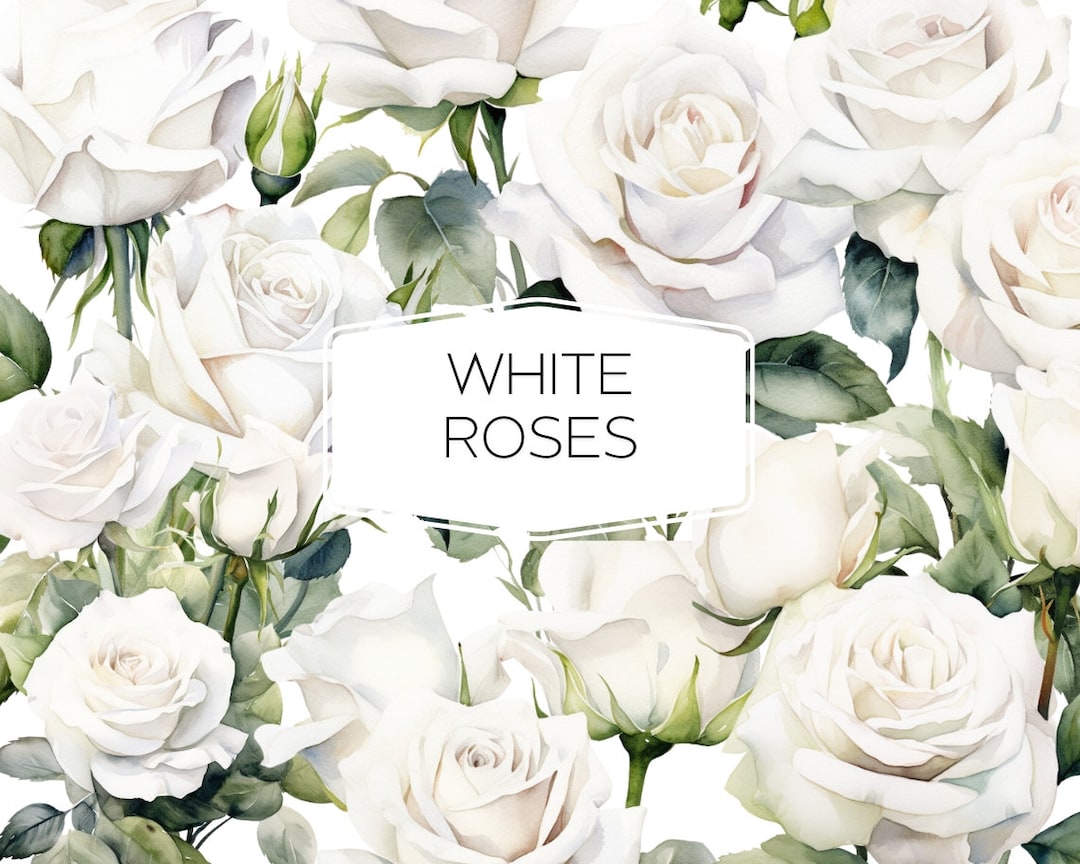 White Roses Watercolor Clipart Wedding Flowers Bouquet Watercolor ...