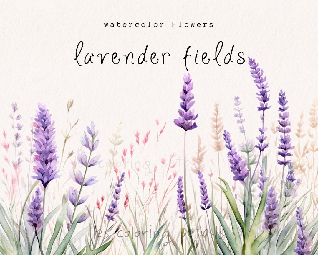 LAVENDER Wildflower Borders | Floral Watercolor PNG Wedding - Etsy