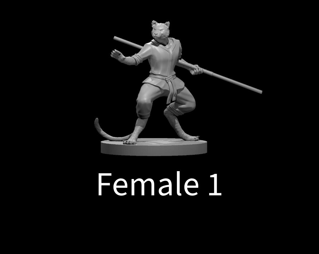 Tabaxi Monk for D&D 5e and Pathfinder Crafted by MZ4250 for Tabletop ...