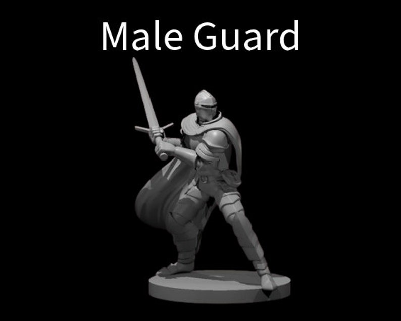 Town Guard Knights D&D 5e Dungeon's and Dragons 5e Table Top Wargaming ...