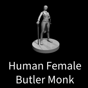Human Monk for D&D 5e and Pathfinder Crafted by MZ4250 for Tabletop ...