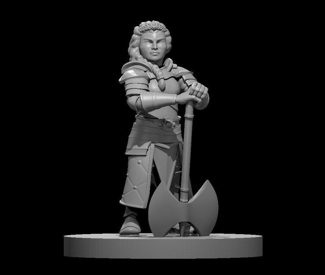 Dwarf Female Paladin D&D 5e Dungeon's and Dragons 5e Table Top ...