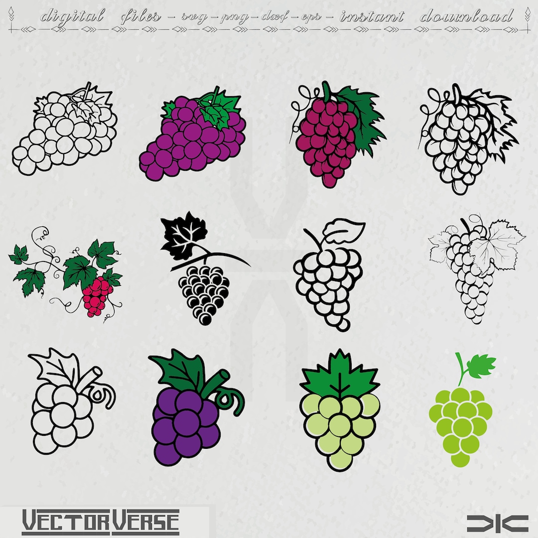 Grape SVG, Wine Svg Bundle, Fruit SVG, Vineyard Cut File, Wine SVG ...
