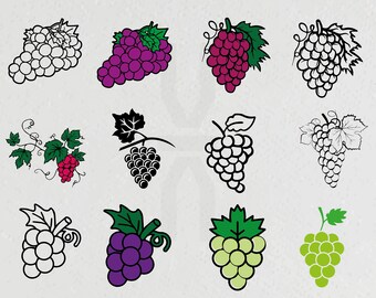 Grape SVG, Wine Svg Bundle, Fruit SVG, Vineyard Cut File, Wine SVG, Grape Cricut, Grape Vector ...