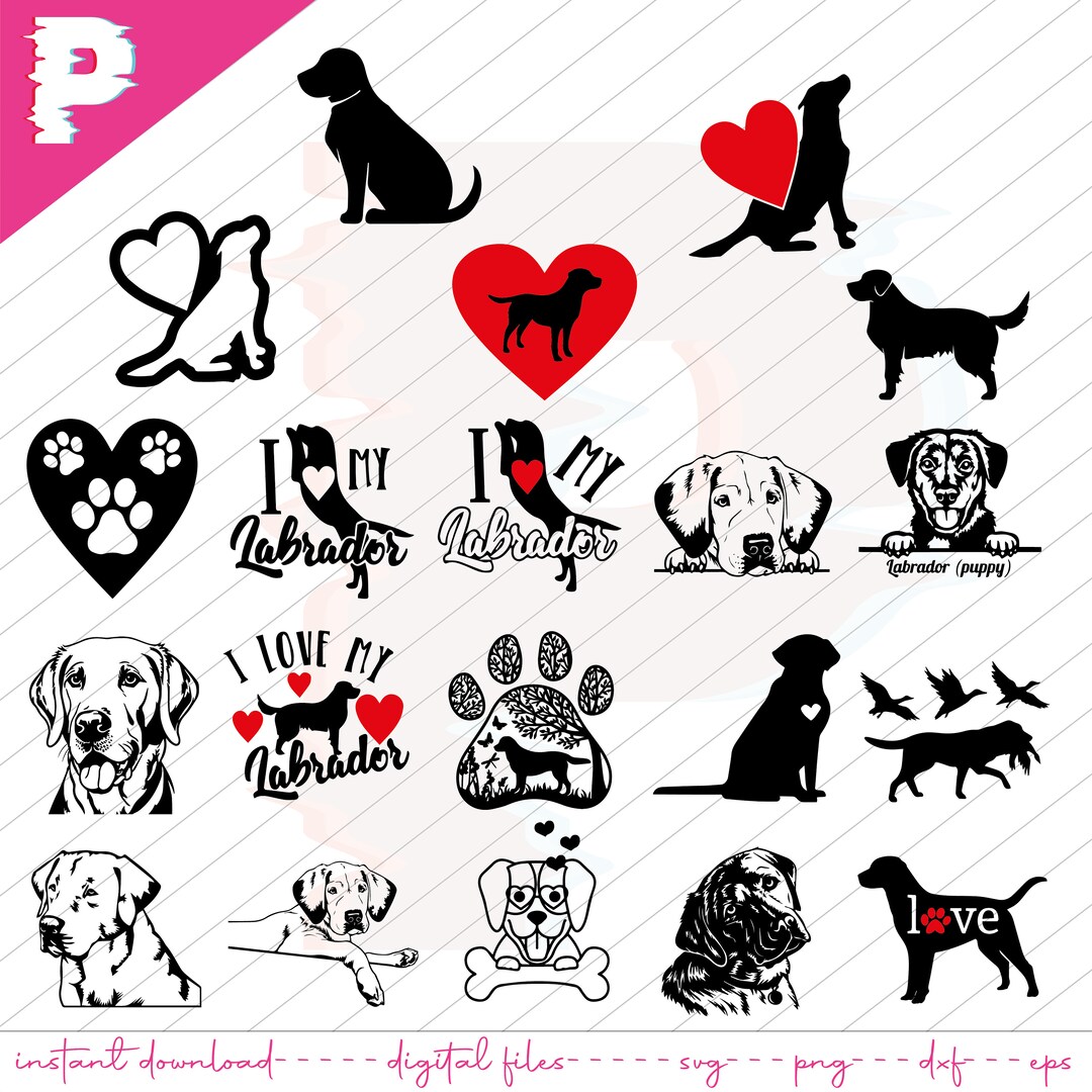 Labrador SVG Labrador Silhouette SVG Cut Files Labrador Bundle SVG ...