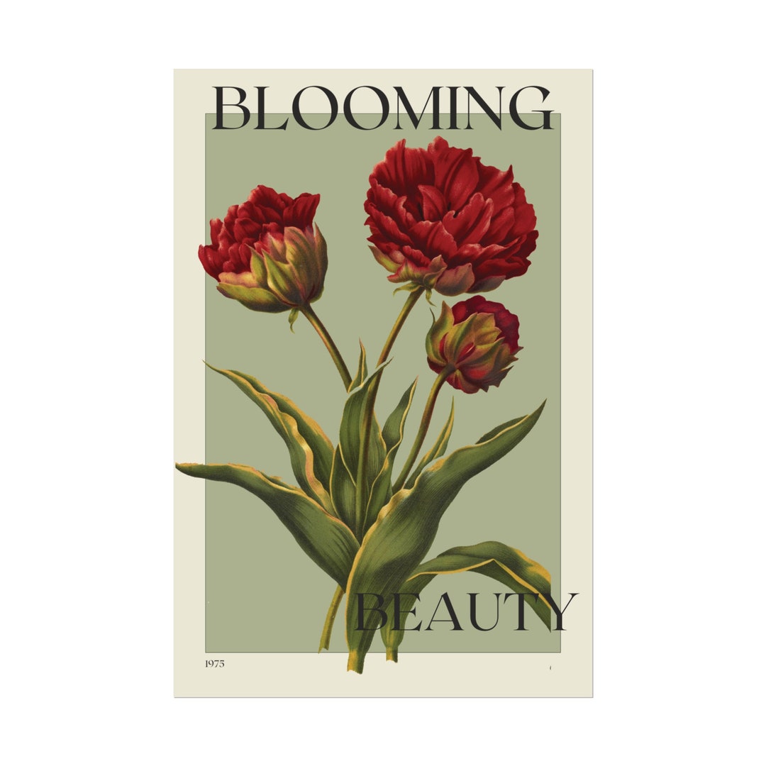 Rolled Posters Stunning Poster Art for Your Walls Perfect Poster Art ...